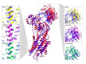 Structure Determination From Low Resolution Data Institute For Protein Design
