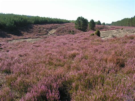 Park Narodowy Bory Tucholskie Podróże