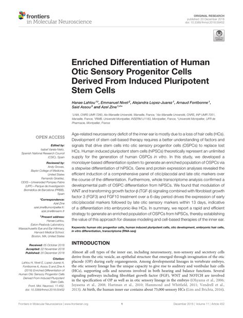 Pdf Enriched Differentiation Of Human Otic Sensory Progenitor Cells