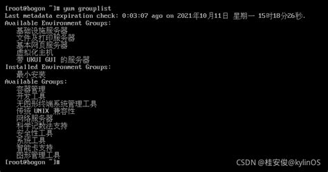【银河麒麟v10】【服务器】最小化系统安装桌面环境麒麟v10最小化安装 Csdn博客