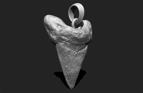 Shark Tooth Fossil 3d Print Pendant 3d Model 3d Printable Cgtrader