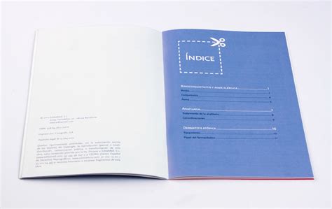 Book / Alergia on Behance