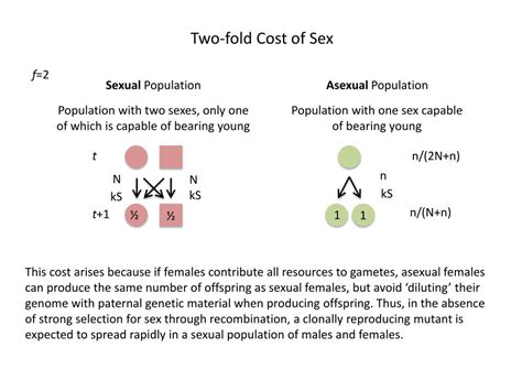 PPT The Evolution Of Sex PowerPoint Presentation Free Download ID