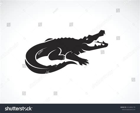 Alligator Vector