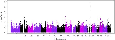 Manhattan Plot Summarizing The Case Control Gwas For Burmese Cats Download Scientific Diagram