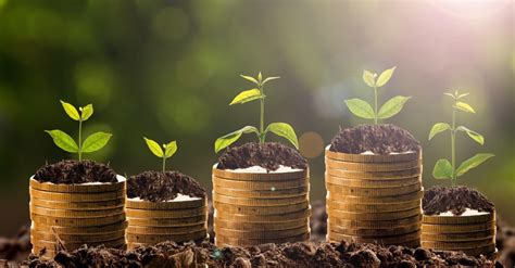 Whats The Difference Between Fundraising Development And Advancement