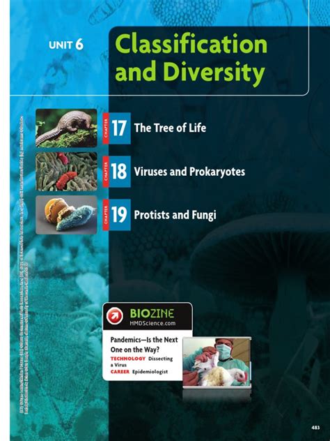 Diversity And Classifiction Download Free Pdf Taxonomy Biology