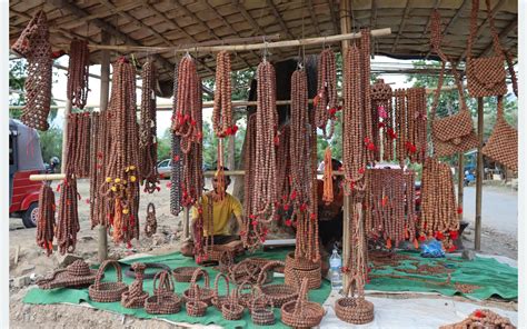 रुद्राक्षको व्यापारबाट मनग्य आम्दानी गर्दै सन्तोष Dcnepal