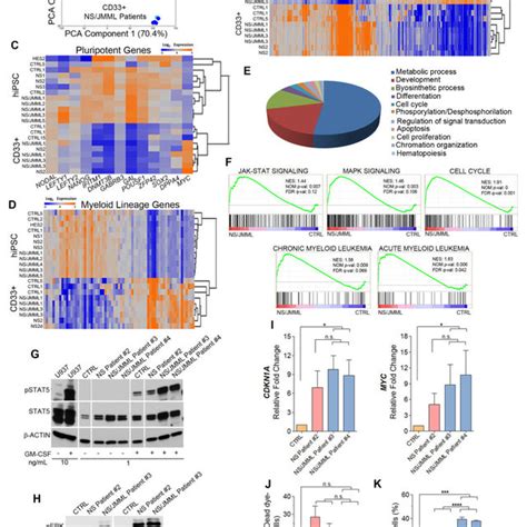 Clinical Features Of Nsjmml Hipsc Derived Hematopoietic Cells A