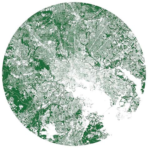 Use Of Machine Learning To Distinguish Between Tree Canopy And Trees Trees Are Pretty Hard