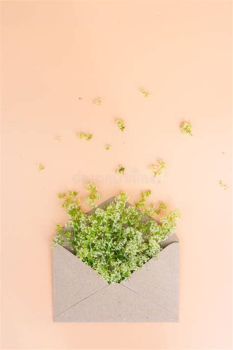 Vertical Format Of Photo Envelope Full Of Tiny White Flowersconcept
