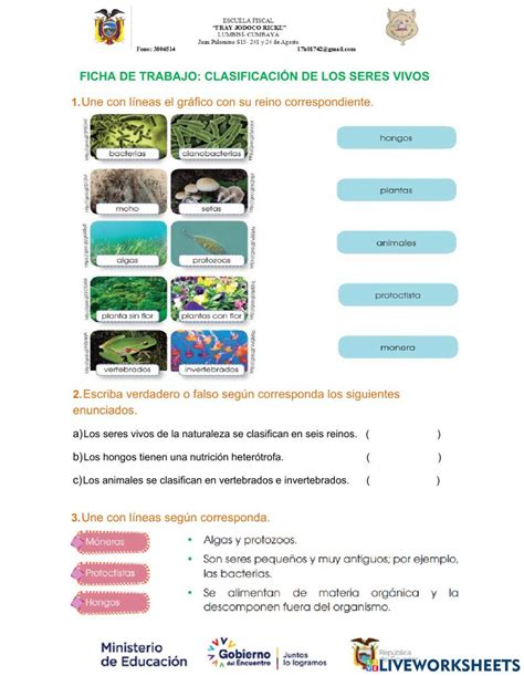 Ejercicio De Clasificacion De Los Seres Vivos Para Cuarto Bilarasa