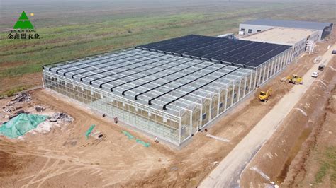 金鑫盟農業：玻璃溫室建設標準及規範要求 壹讀