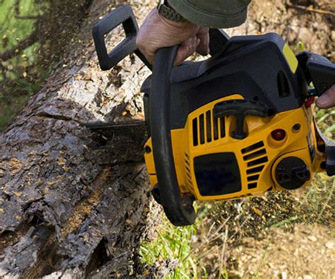 Tree Removal Service Near Me Melbourne Terrific Trees 0411 366 615