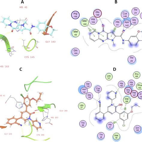 2d And 3d Binding Interaction Data Of Active 29 Analog A And B