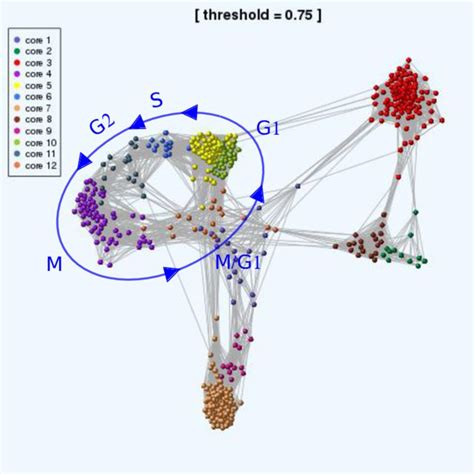 CSD Algorithm Applied To Yeast Cell Cycle Gene Expression Data Set For