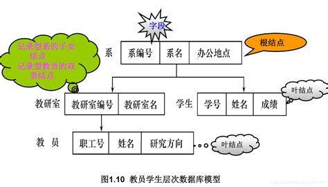 数据库中的常用的数据模型 层次模型 网状模型 关系模型层次模型的特点和实例 Csdn博客
