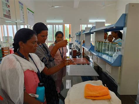 Apiculture Training Program Cornell Sathguru Foundation For Development