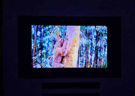 Tv Lg 50 Polegadas Pombal • Olxpt