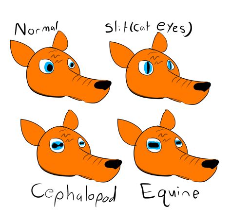 Different Pupil Shapes Feature Requests Stray Fawn Community