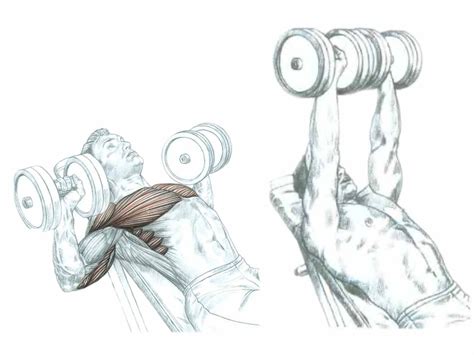 Французский жим на наклонной скамье 58 фото