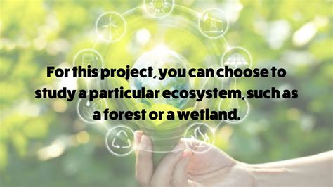 The Ultimate Students Guide To Biology Science Fair Projects — Inspirit Ai