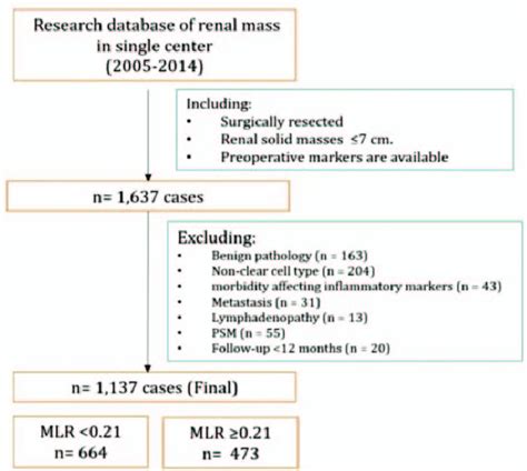 A Flow Chart Showing The Algorithm Of Database Selection After Download Scientific Diagram