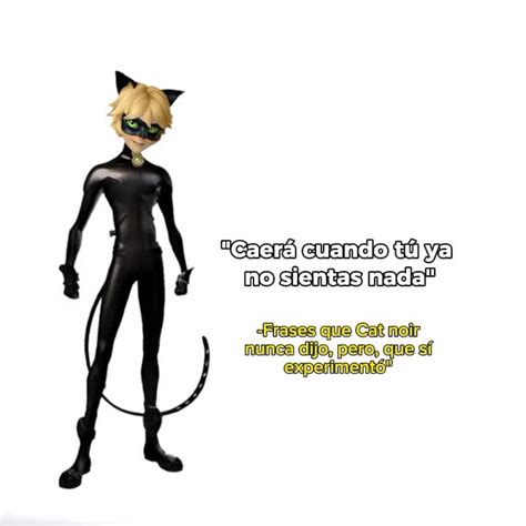 Frases De Cat Noir Y Miraculous Ladybug En Tiktok Tiktok