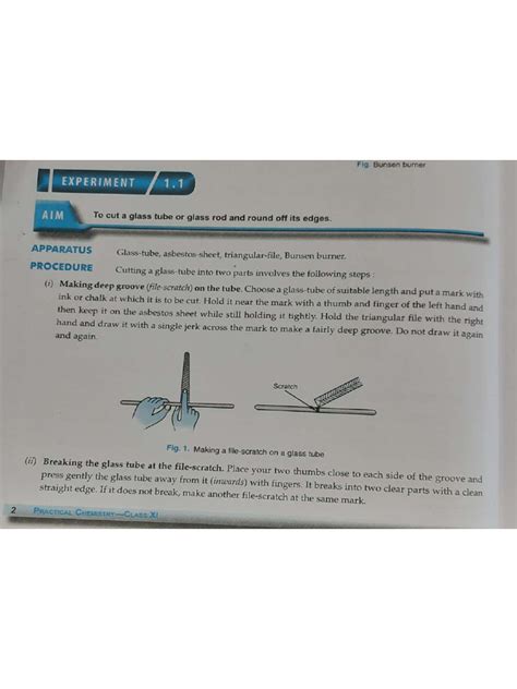 chemistry practical class 11 1 pdf