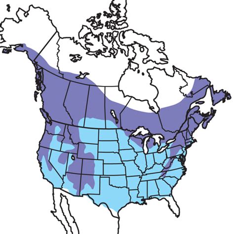 Love Those Nuthatches Follow Our Blog Birdingbnb