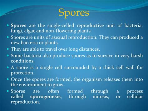 Bacteria Structure And Function PPTX Biological Sciences Science
