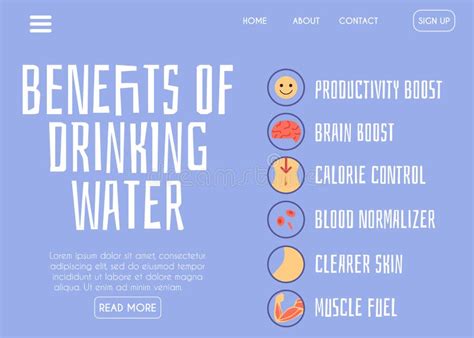 Benefits Drinking Water Stock Illustrations 125 Benefits Drinking
