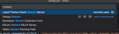 Issue With The New Metafield Text Theme Filter Issue Shopify