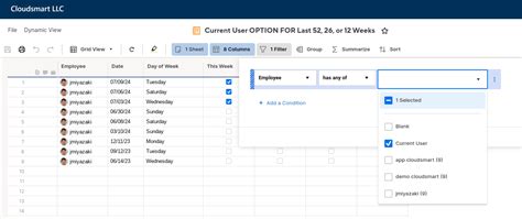 Option For Current Year Filter Smartsheet Community