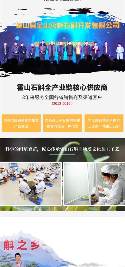 霍山米斛4年苗可盆栽可食用枝数多易种活霍山基地直供 霍山石斛全产业链供应