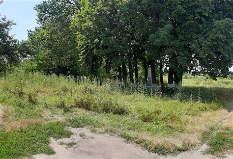 Ladyzhyn Old Jewish Cemetery Esjf Surveys