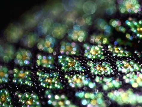 Interconnectedness Atticus Review