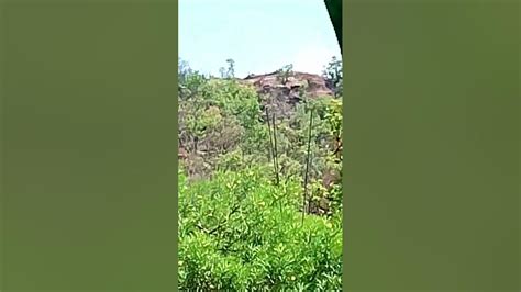 Kudargarh Comedy Cutegirlstatusvideo Bandar Dikha Kisi Ko Youtube