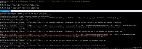 【数据库测试】tcpdump抓包tcpdump指定端口 Csdn博客