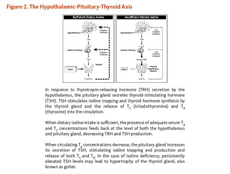 Iodine Linus Pauling Institute Oregon State University