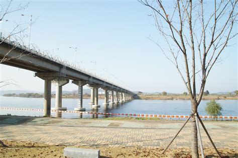 图片素材 景观 水 性质 森林 天空 木栈道 领域 立交桥 走道 旅行 池 绿色 公园 风景 韩国 奖项