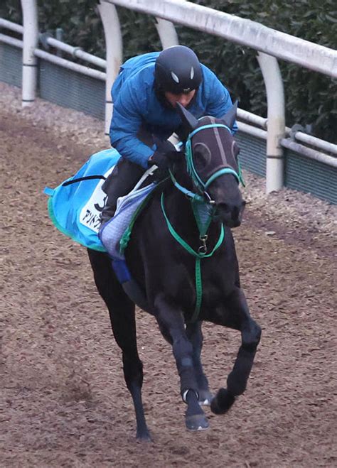 【毎日ベスト3】明神記者が選ぶ 京都金杯の栗東追い切りベスト3 毎日ベスト3 競馬コラム 日刊スポーツ