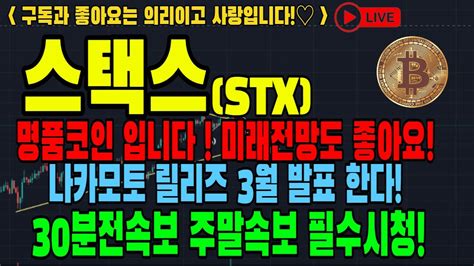 스택스 스택스코인 스택스코인전망 Stx Btc 코인전망 비트코인 이더리움 도지코인 Youtube