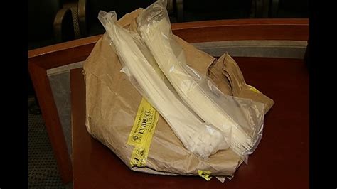 Photos Bethesda Lululemon Murder Evidence