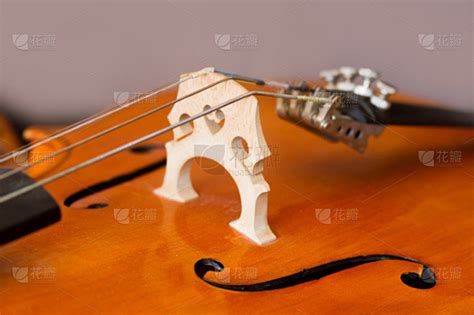 大提琴大特写合唱团小提琴古典音乐会古董手工艺设备艺术水平画幅匈牙利