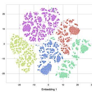 T SNE Visualization For The Full Dataset By Cluster Projected Onto Two