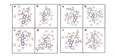 A The Two Dimensional Interaction Image Showcasing The Binding Download Scientific Diagram