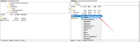 Filezilla客户端的安装配置教程以及使用教程超级详细 极客之音