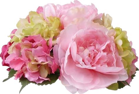 Hydrangeapassion Hydrangea Rose Flowers