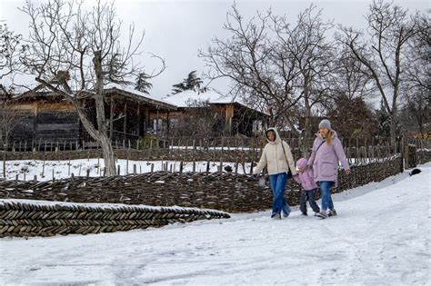 თბილისის ეთნოგრაფიული მუზეუმი ღია ცის ქვეშ Tbilisi Open Air Museum Home